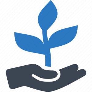 Services - Comp & Ben Middle East Consulting